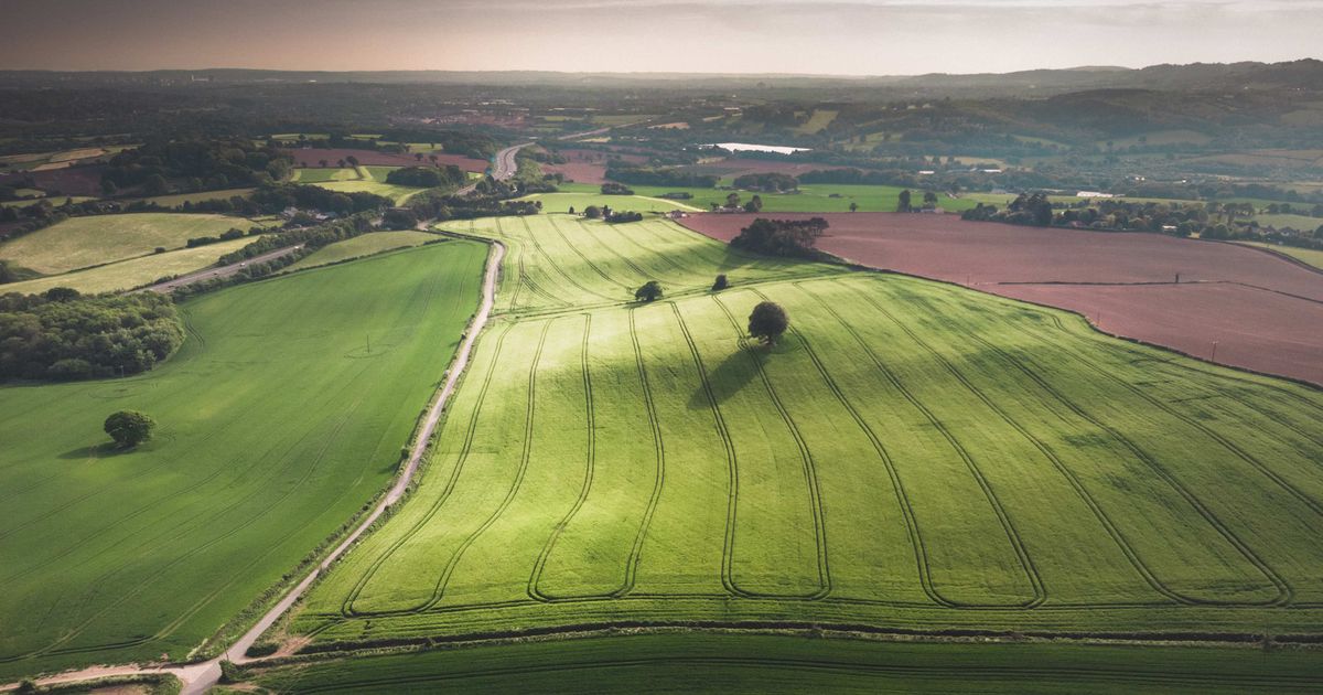 Collaboration avenues: Targeting land corruption - Countering ...